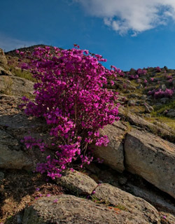 Turkmenistan In Spring Season | Euroasia Travels